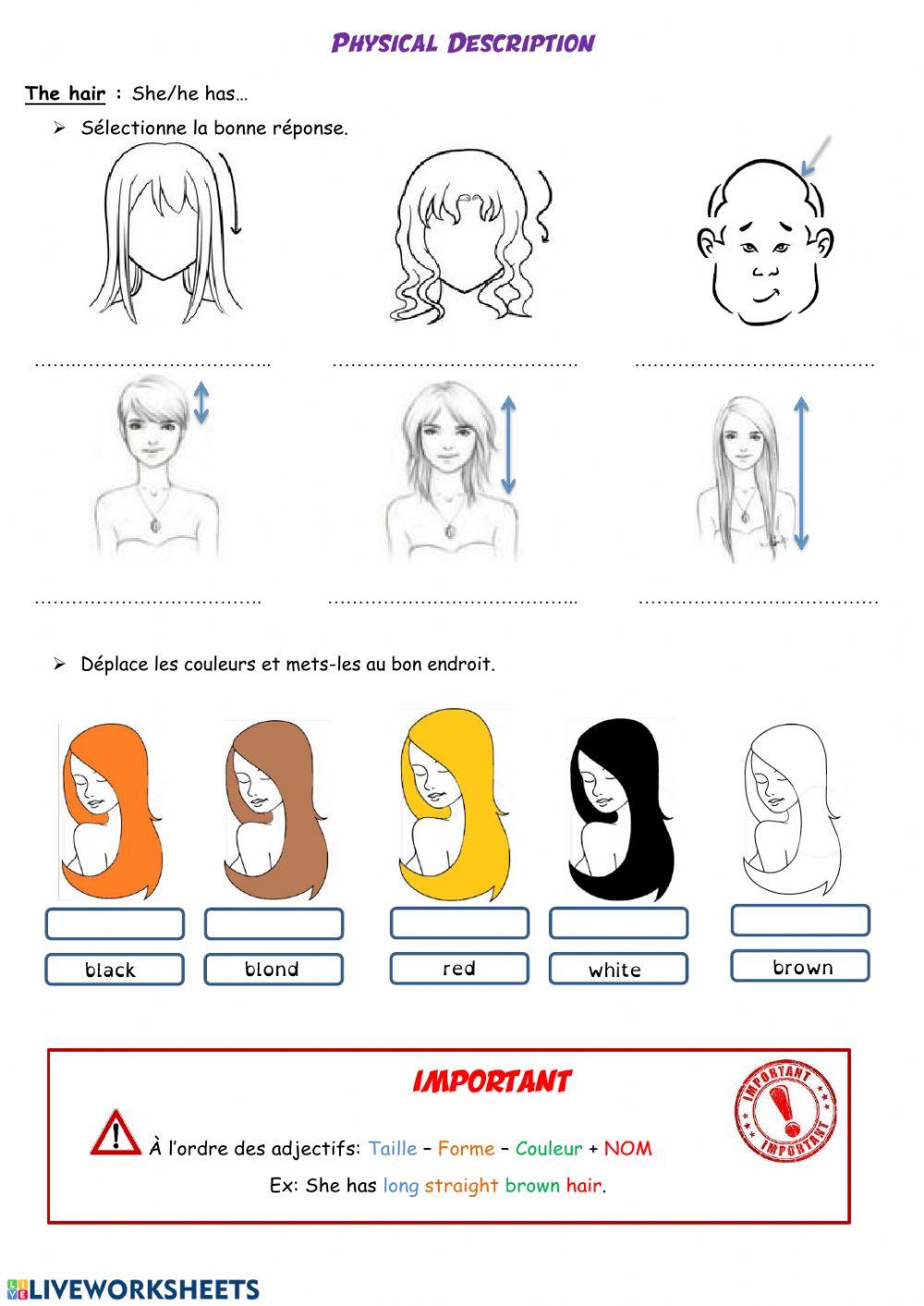 824040 | Physical description | MRSMangin