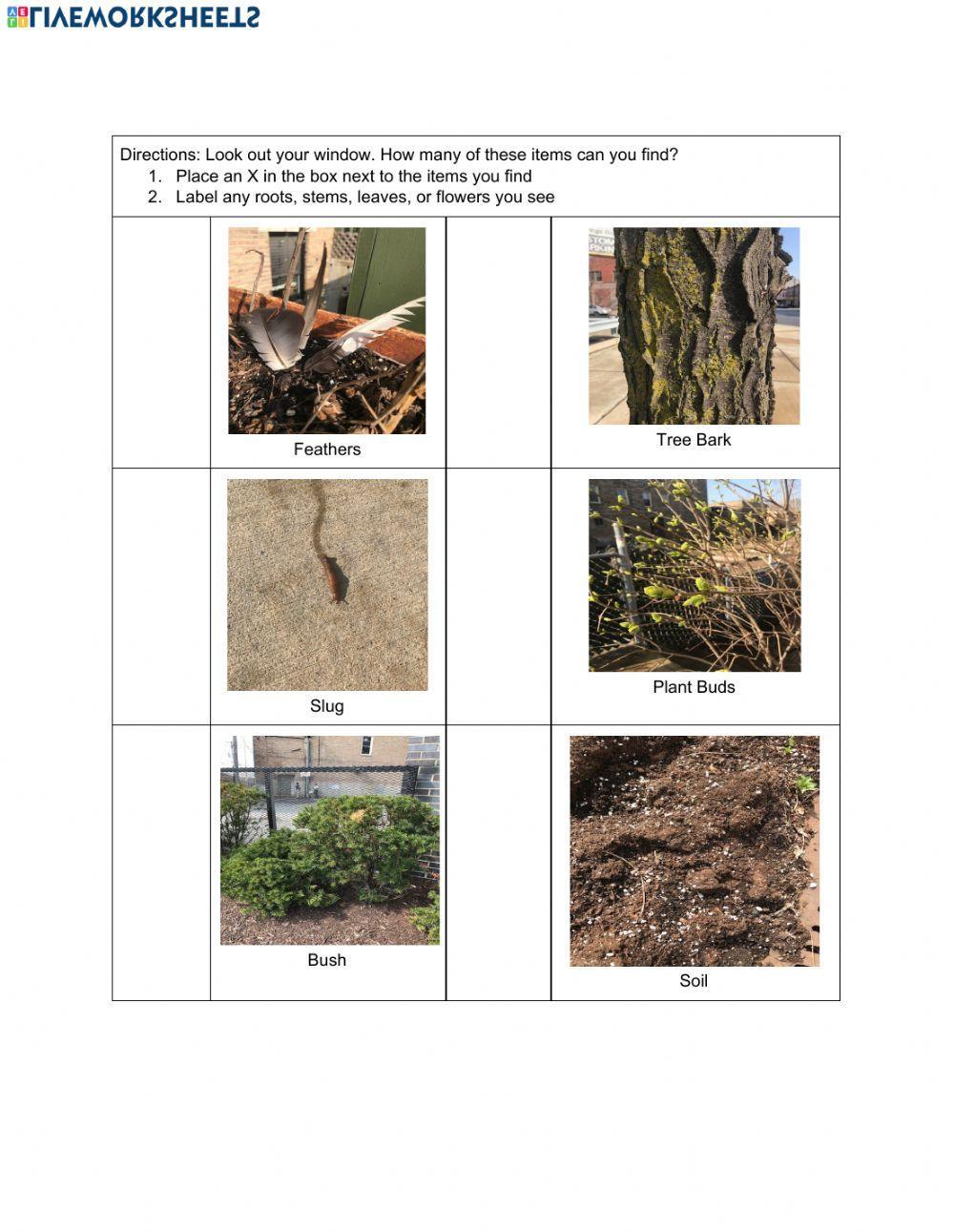 Nature Scavenger Hunt worksheet | Live Worksheets