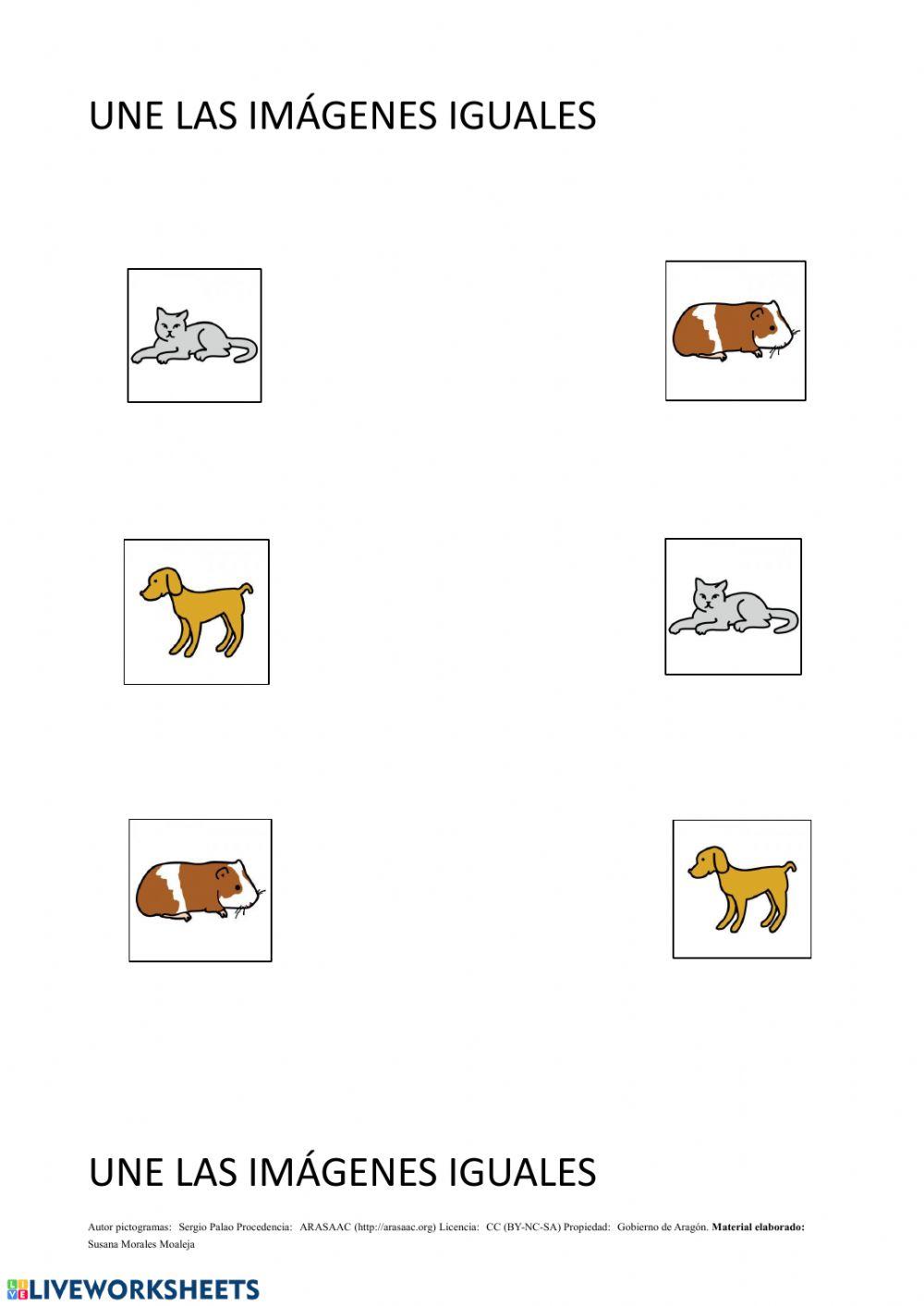 une iguales nivel 1 online exercise for | Live Worksheets