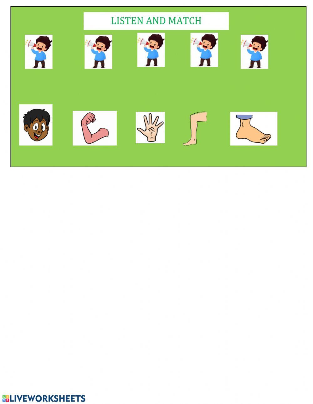 body parts listen and match 5563238 | valentinacastagno