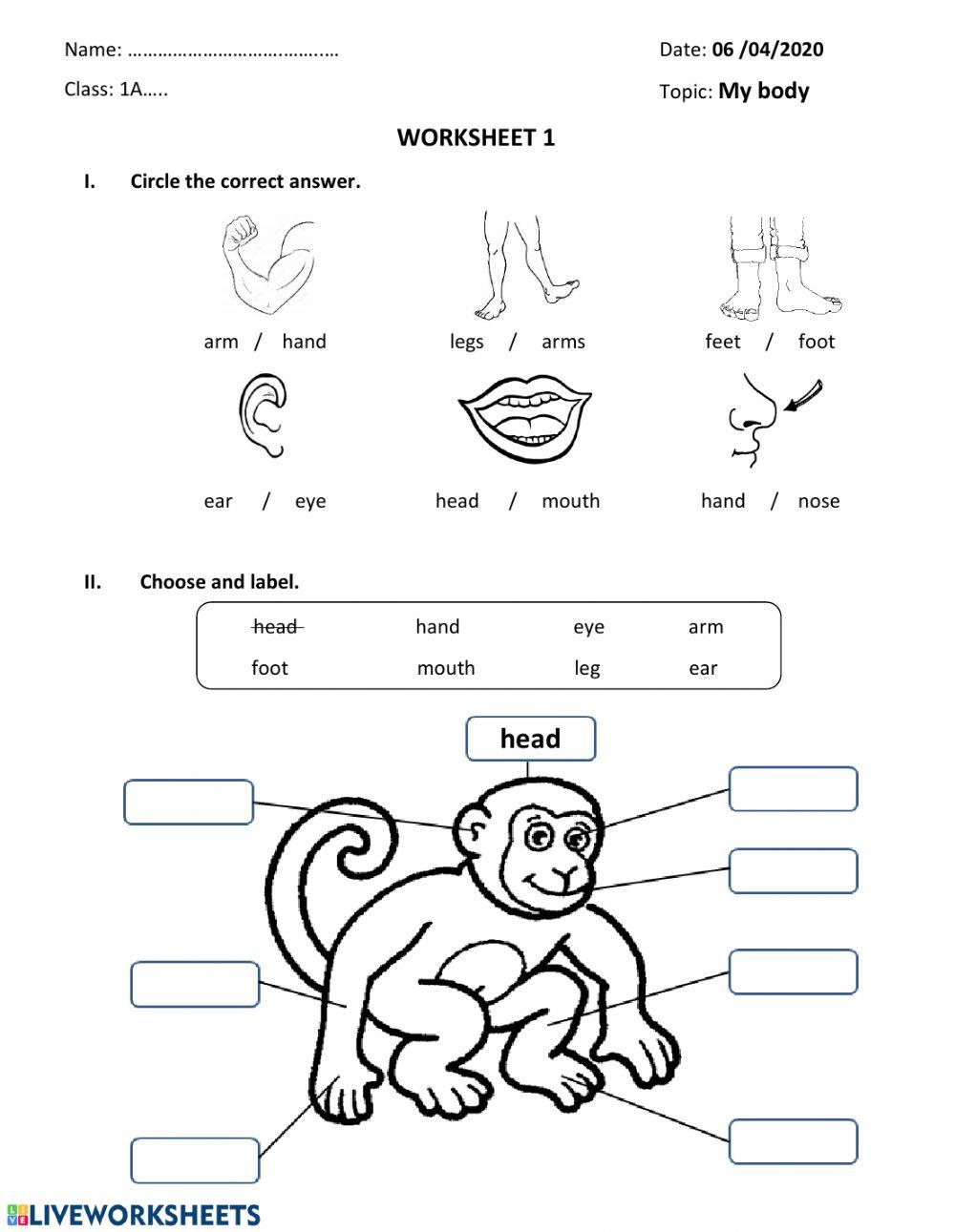 Body part 6-4 worksheet | Live Worksheets