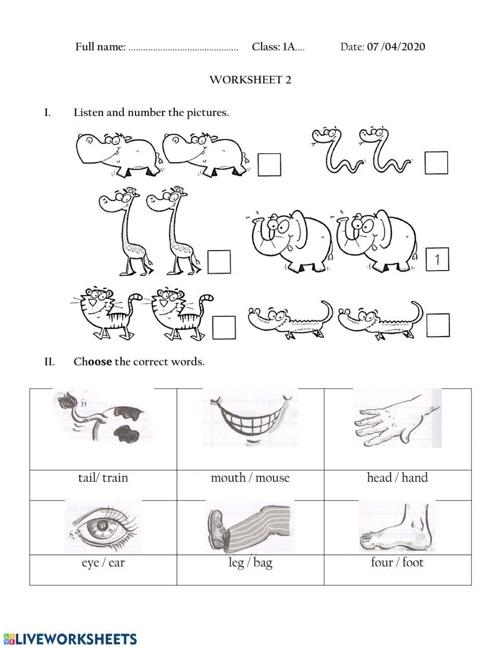 Body part 7-4 worksheet | Live Worksheets