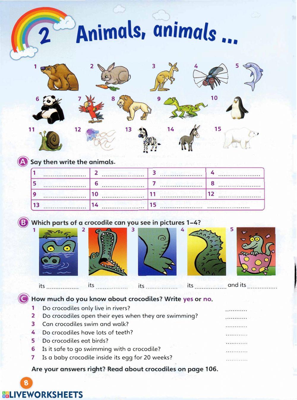 Animal worksheet | Live Worksheets