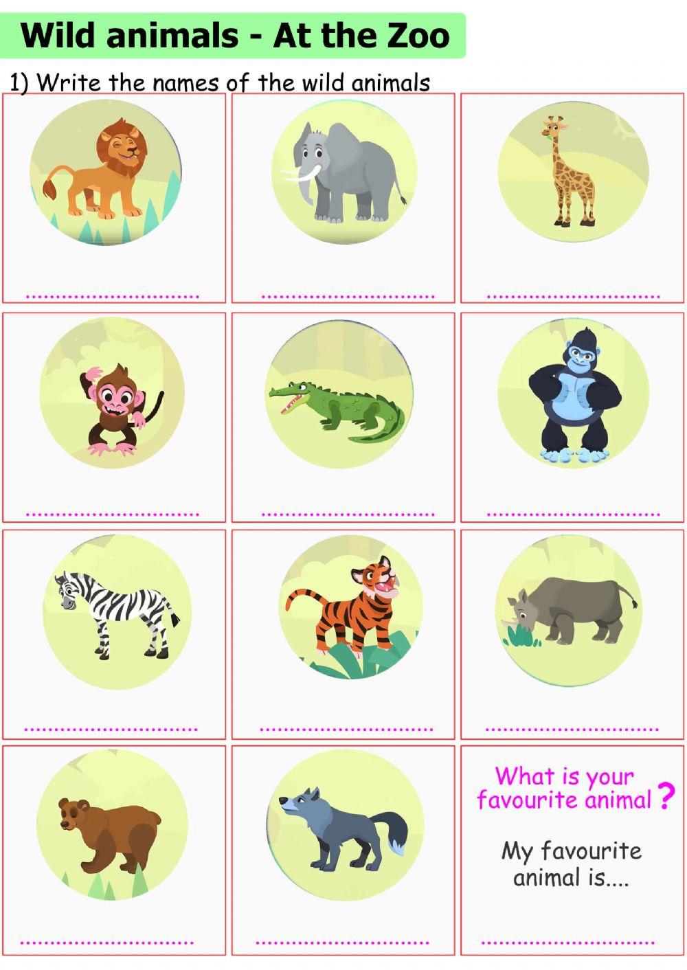 Wild Animals - scheda 1 worksheet | Live Worksheets