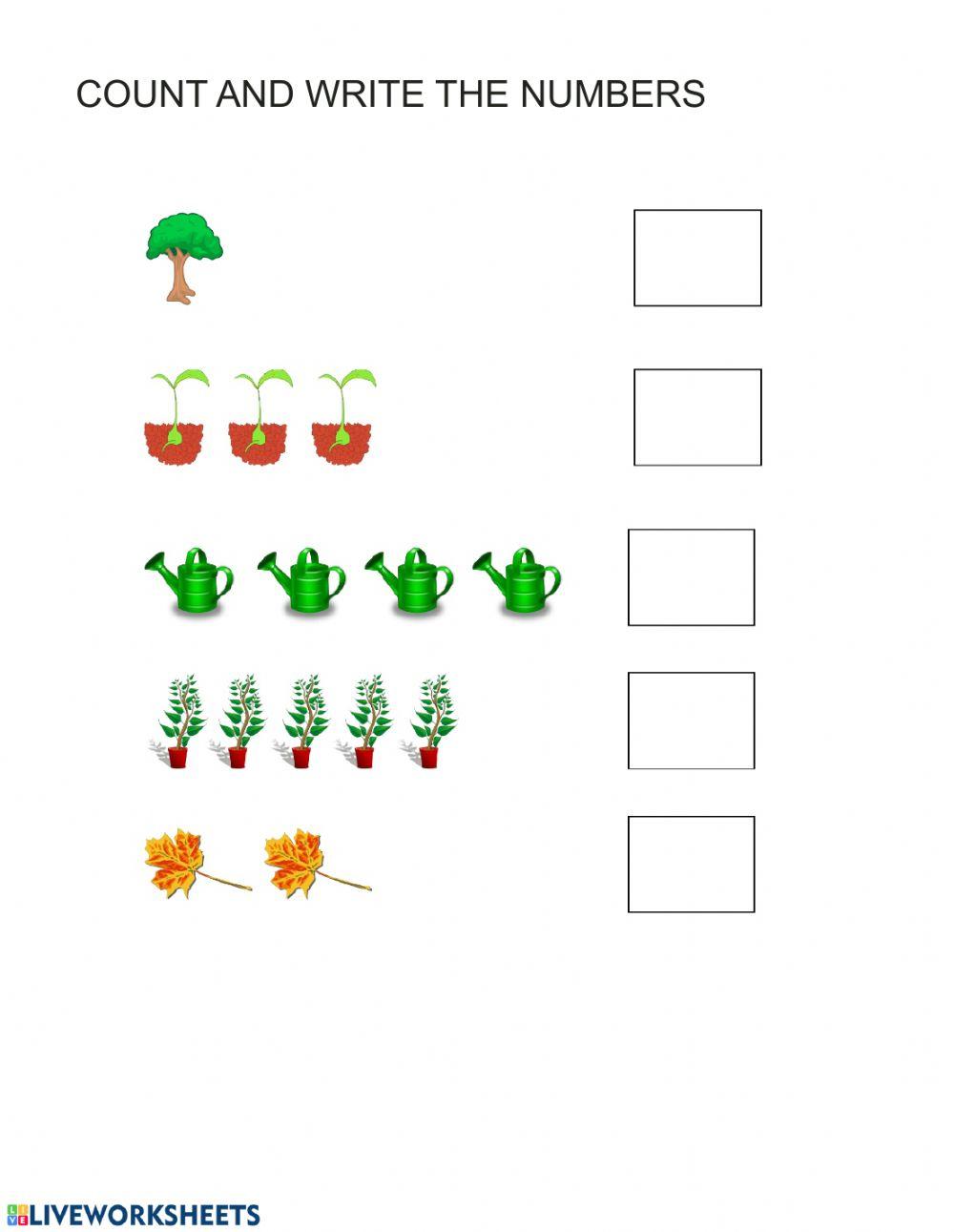 Counting activity | Live Worksheets