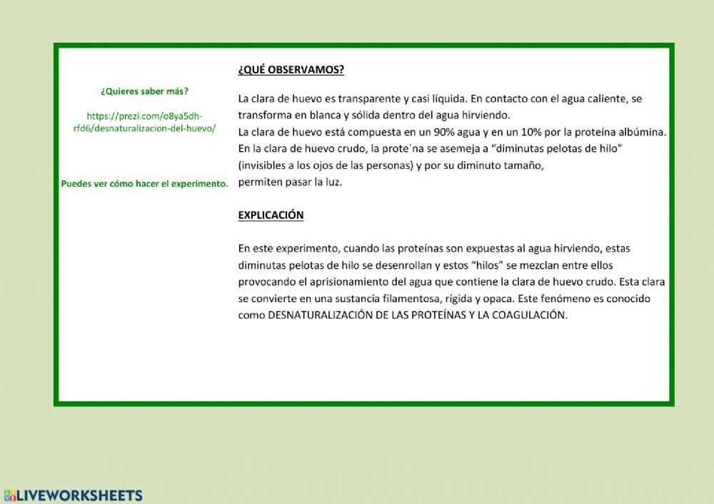 Experimento -pr… | Free Interactive Worksheets | 83182