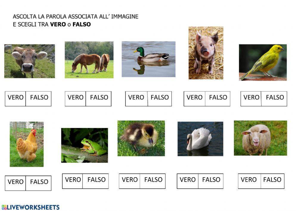 Animals test worksheet | Live Worksheets