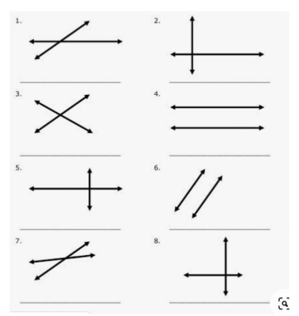 Tipos de rectas worksheet | Live Worksheets