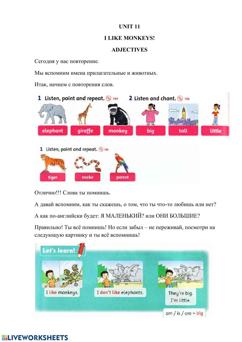 5447969 | FF1 UNIT 11 | AlexandraTarasova