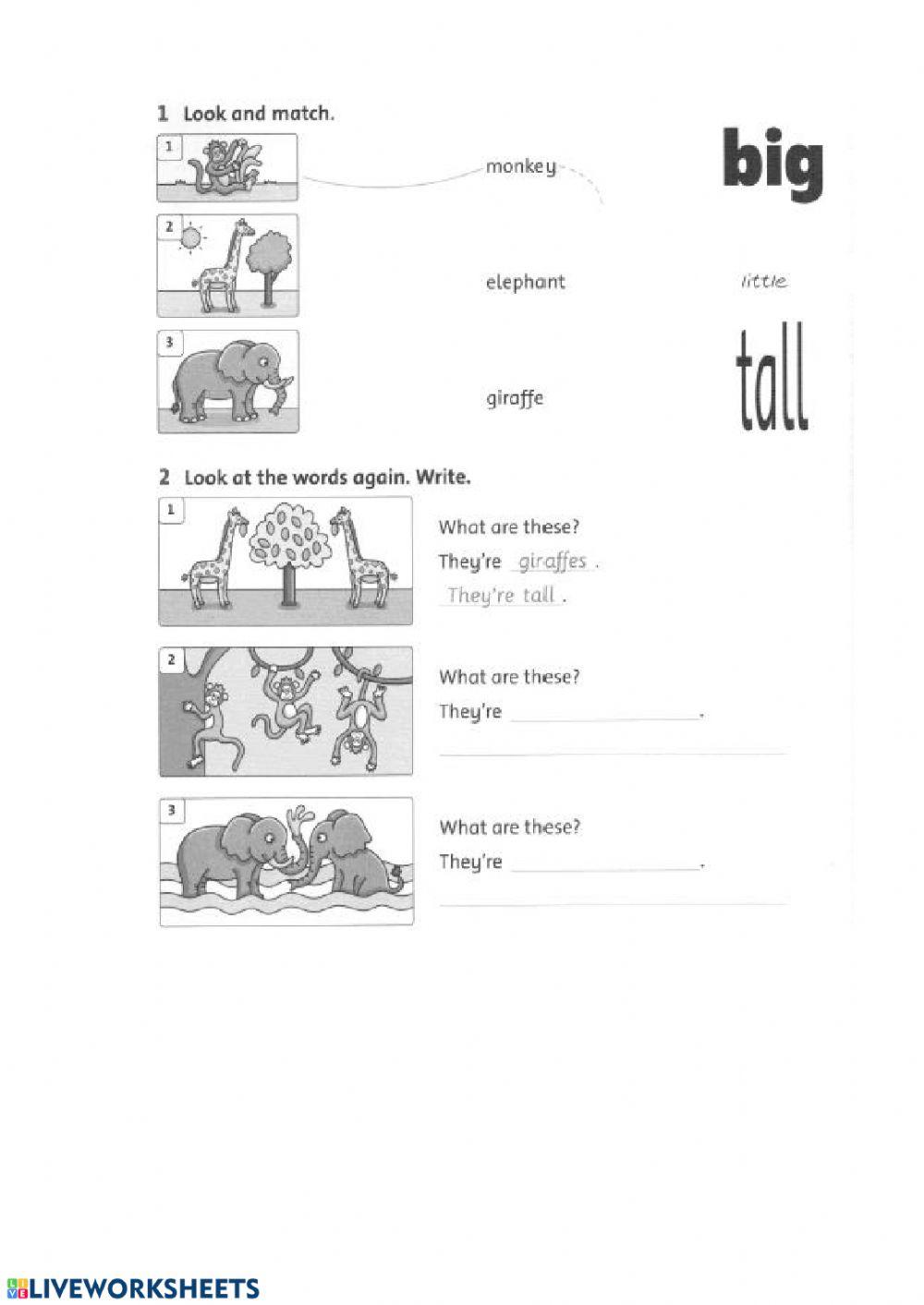 5447969 | FF1 UNIT 11 | AlexandraTarasova