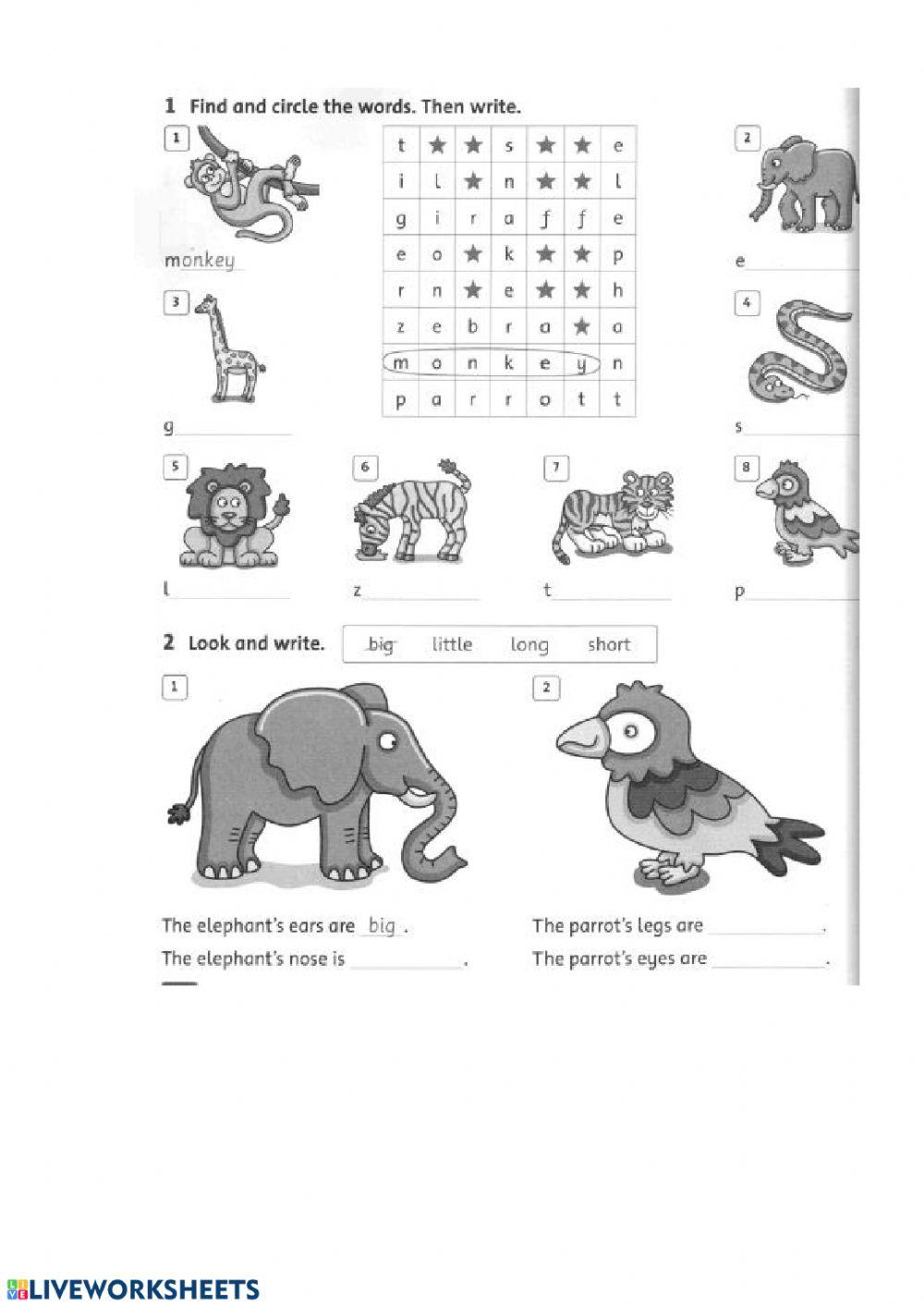 5447969 | FF1 UNIT 11 | AlexandraTarasova