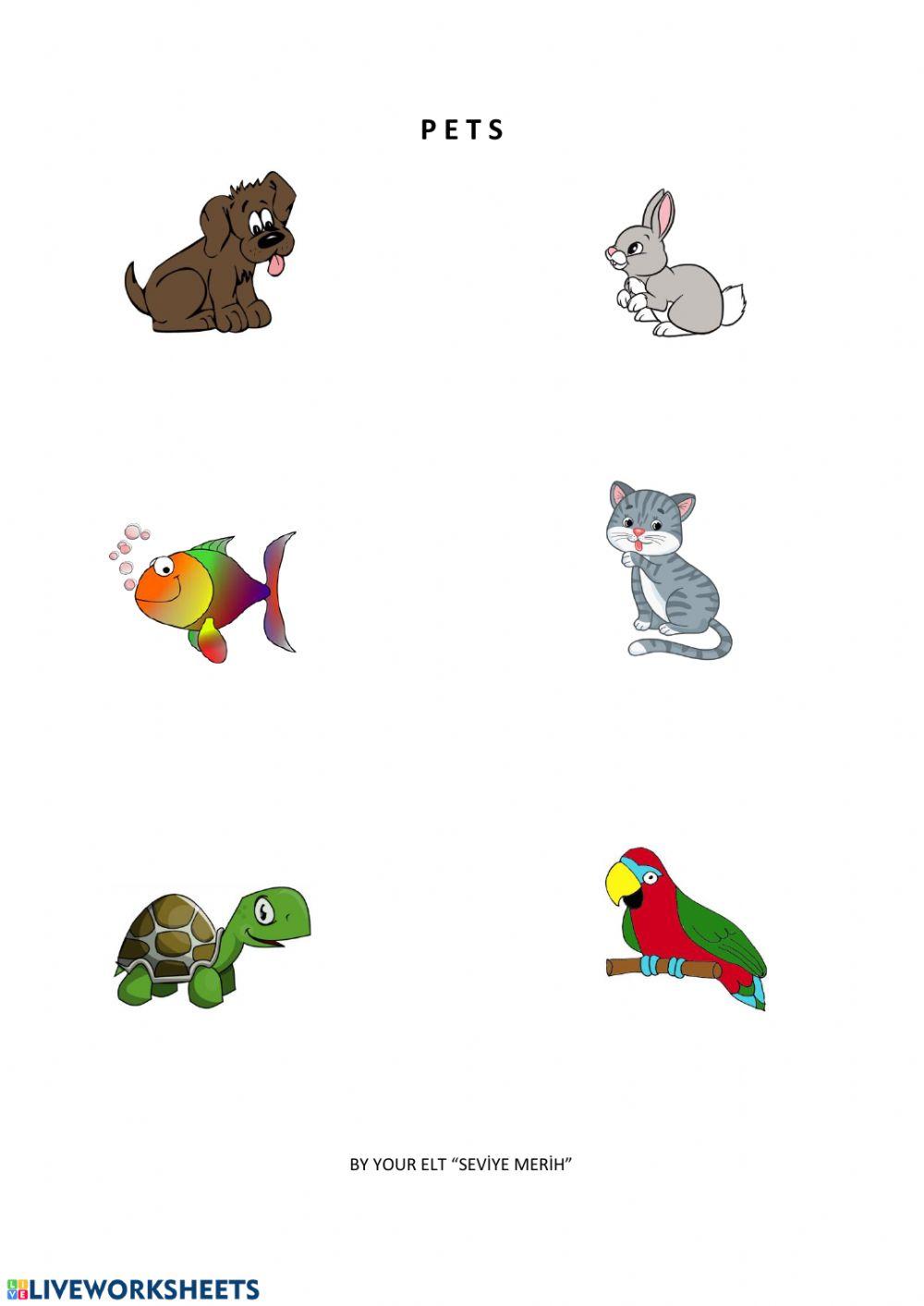 PETS | Free Interactive Worksheets | 5450316