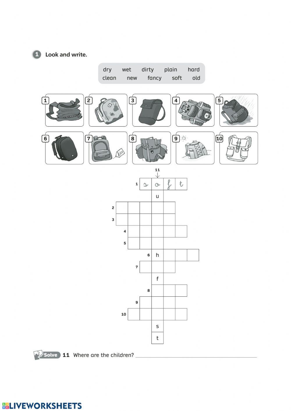 Forest worksheet | Live Worksheets