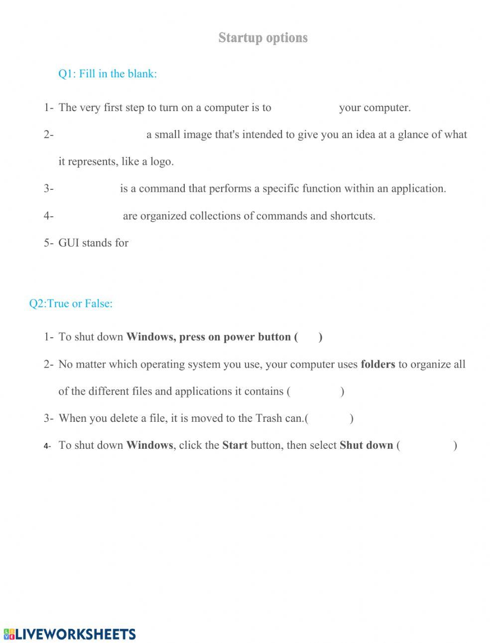 Startup options worksheet | Live Worksheets