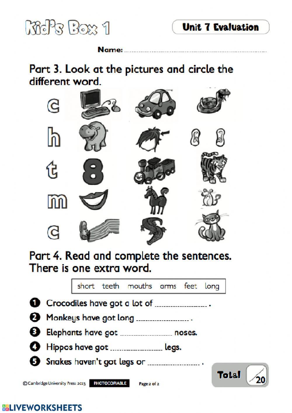 Kid's Box1 Test… | Free Interactive Worksheets | 5453143
