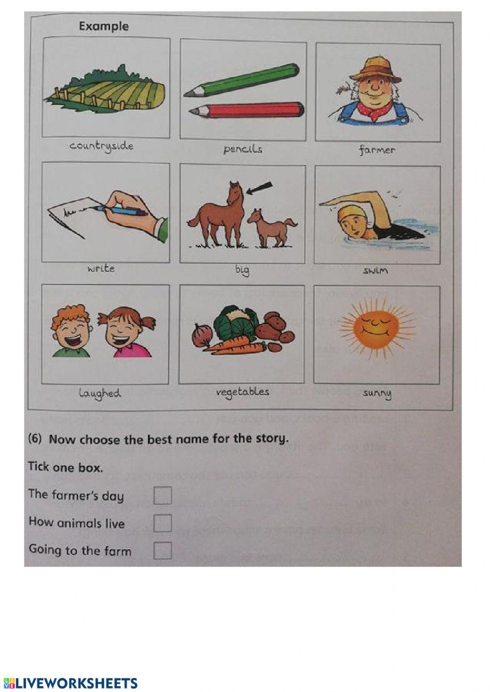 Reading and writing exercise | Live Worksheets