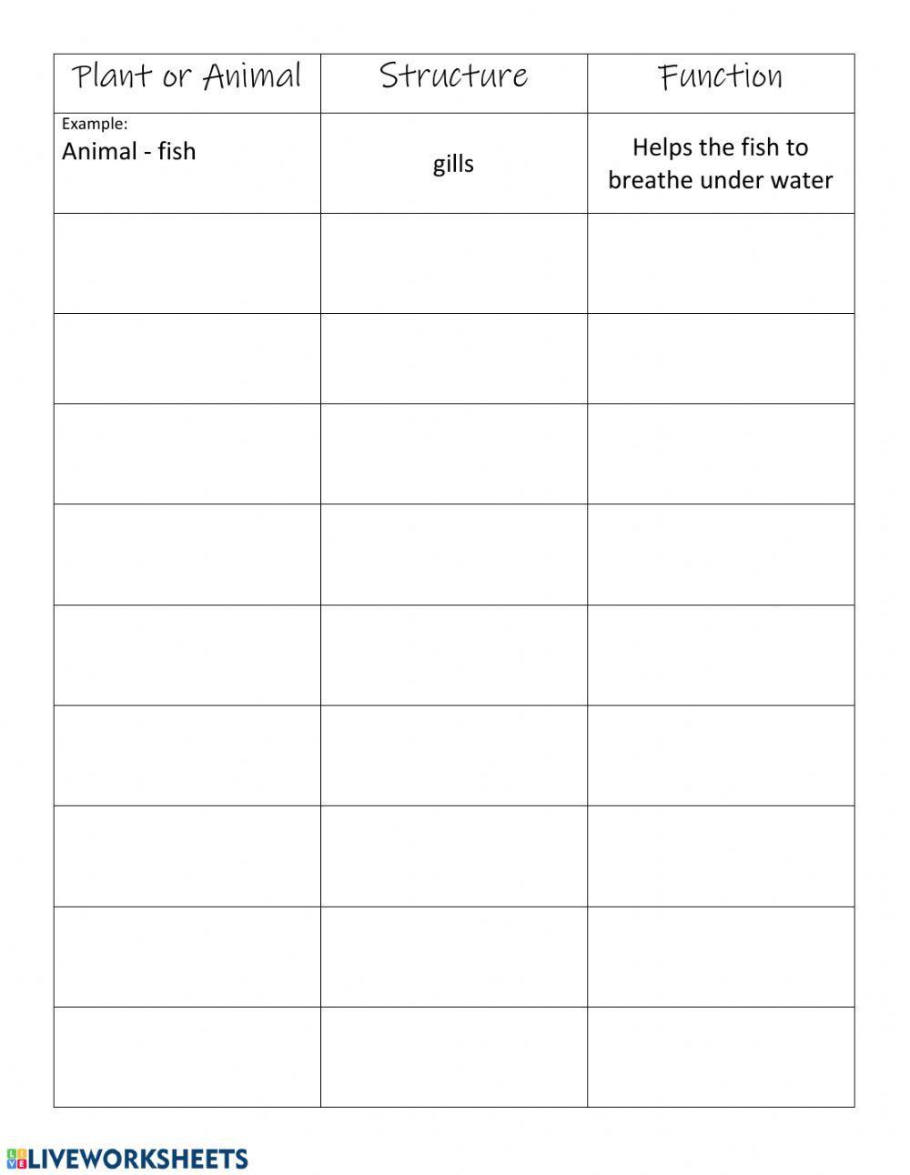 90575 | Structures and Functions Worksheet | Ashley Evans