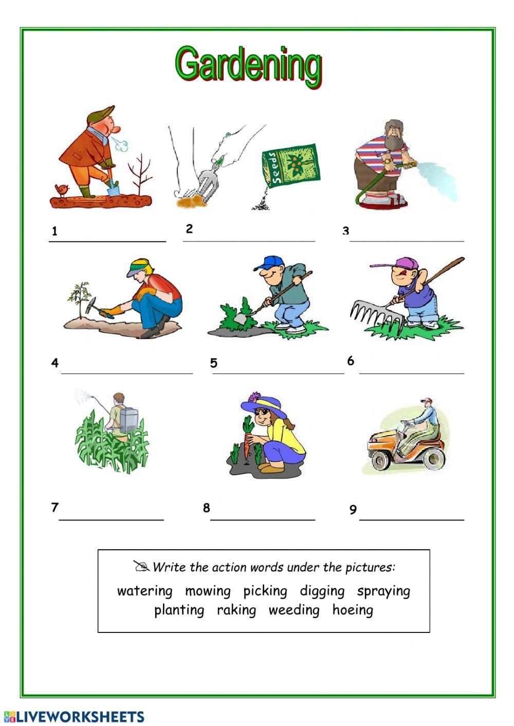 Gardening 90856 | Melanija | Live Worksheets