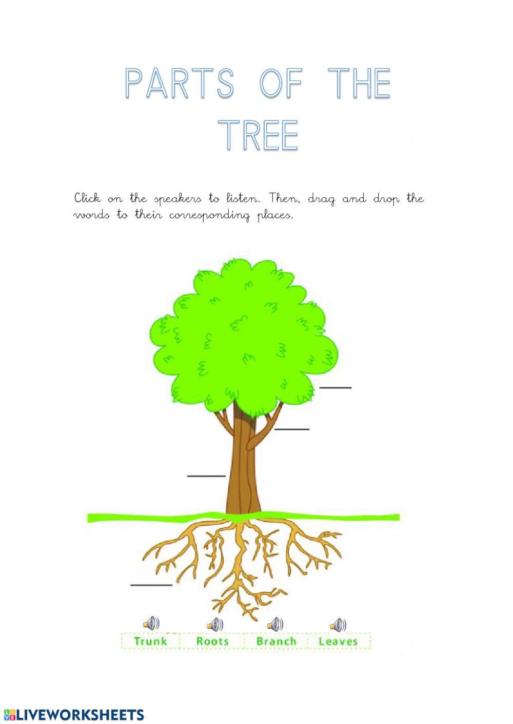 parts of the tr… | Free Interactive Worksheets | 5457483