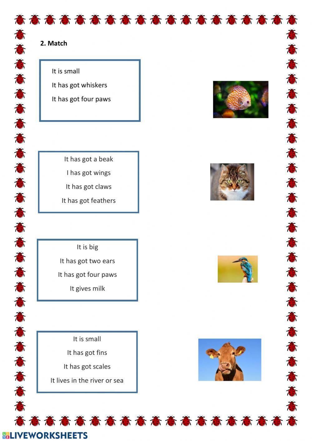Animal review worksheet | Live Worksheets