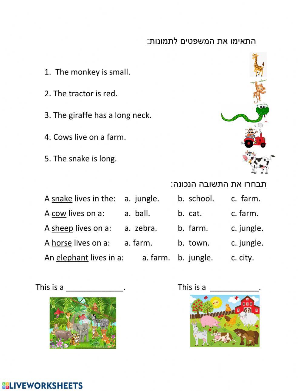 Animals online exercise for grade 4 lower level | Live Worksheets