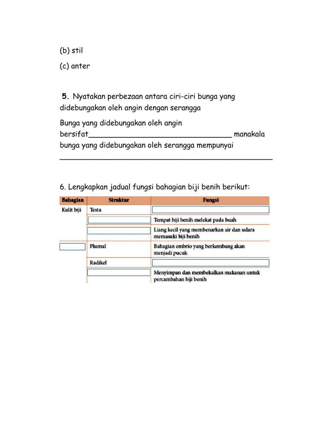 Pendebungaan dan biji benih worksheet | Live Worksheets