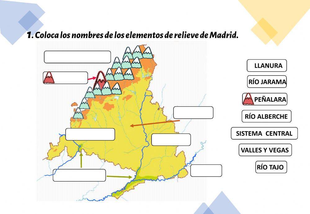 Relieve de madr… | Free Interactive Worksheets | 173709