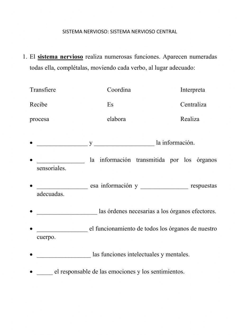 Sistema nervios… | Free Interactive Worksheets | 176640