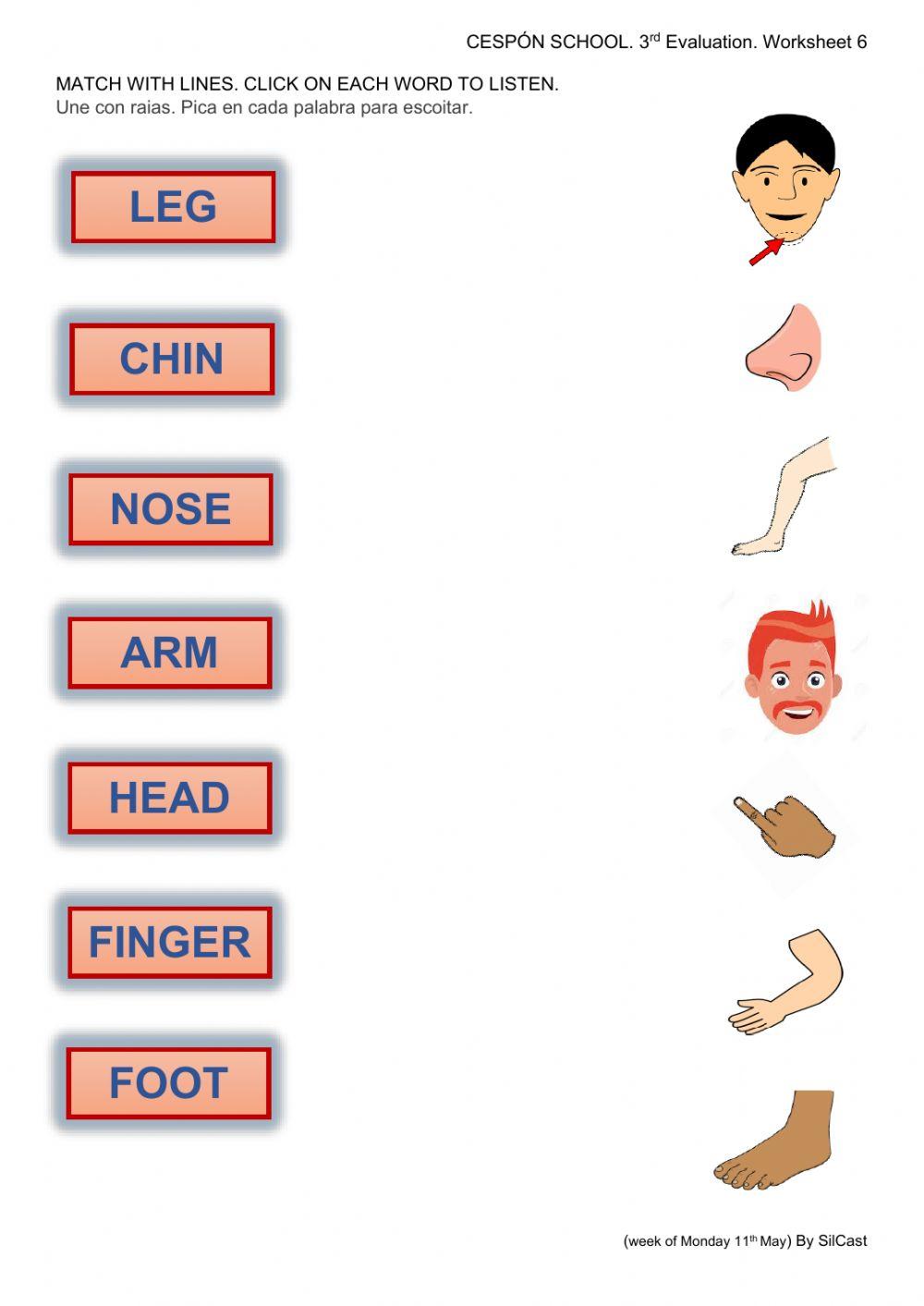 Body parts online exercise for Kindergarten / Infantil | Live Worksheets