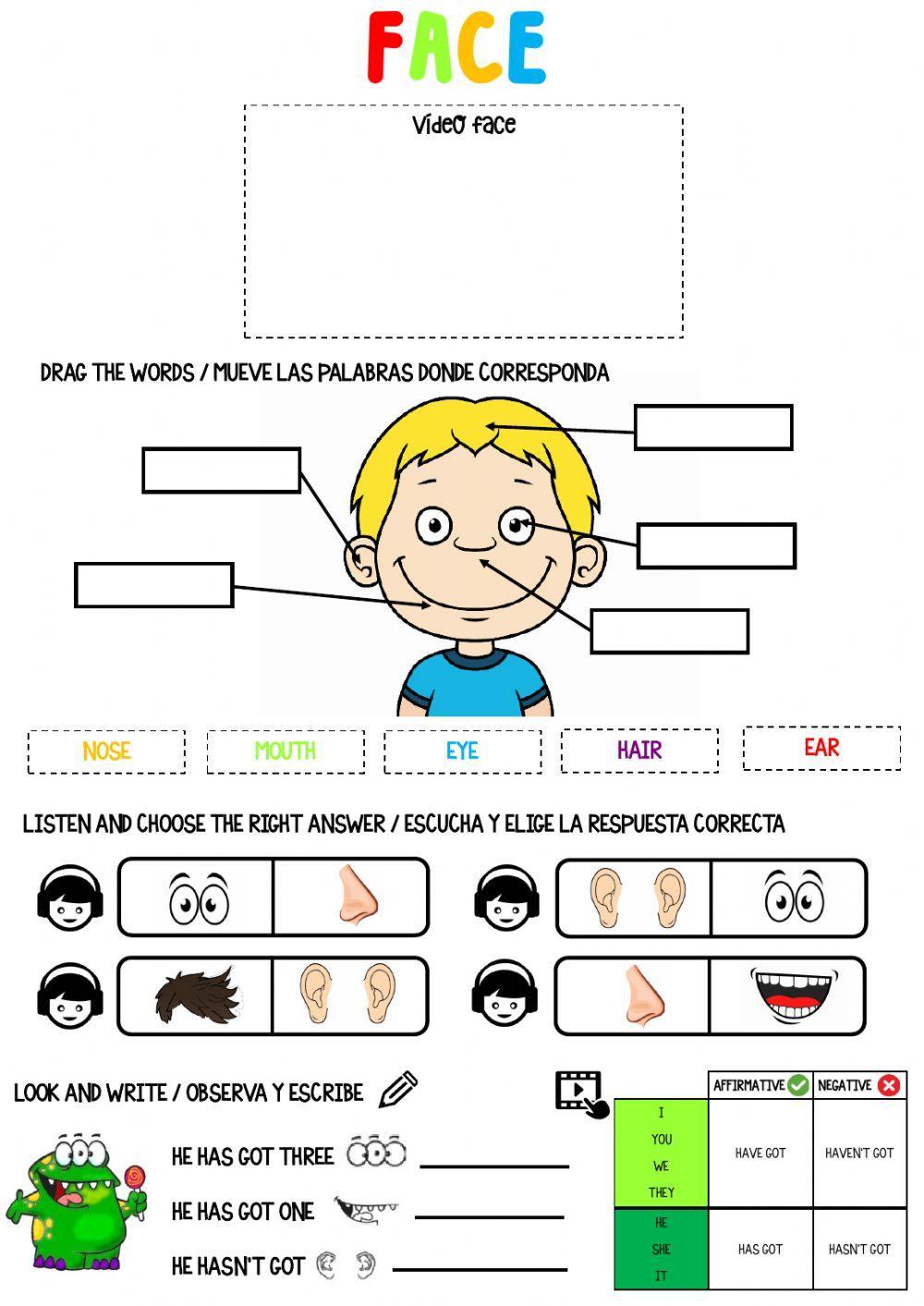 Face 177337 | LauGS | Live Worksheets