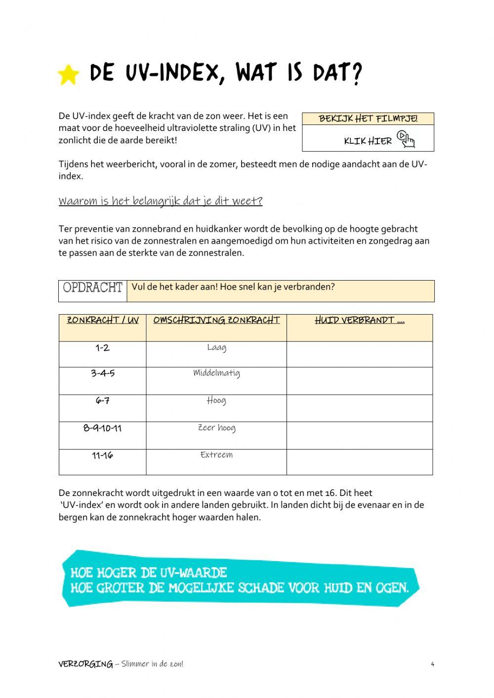 3VV: Slimmer in de zon! online exercise for | Live Worksheets