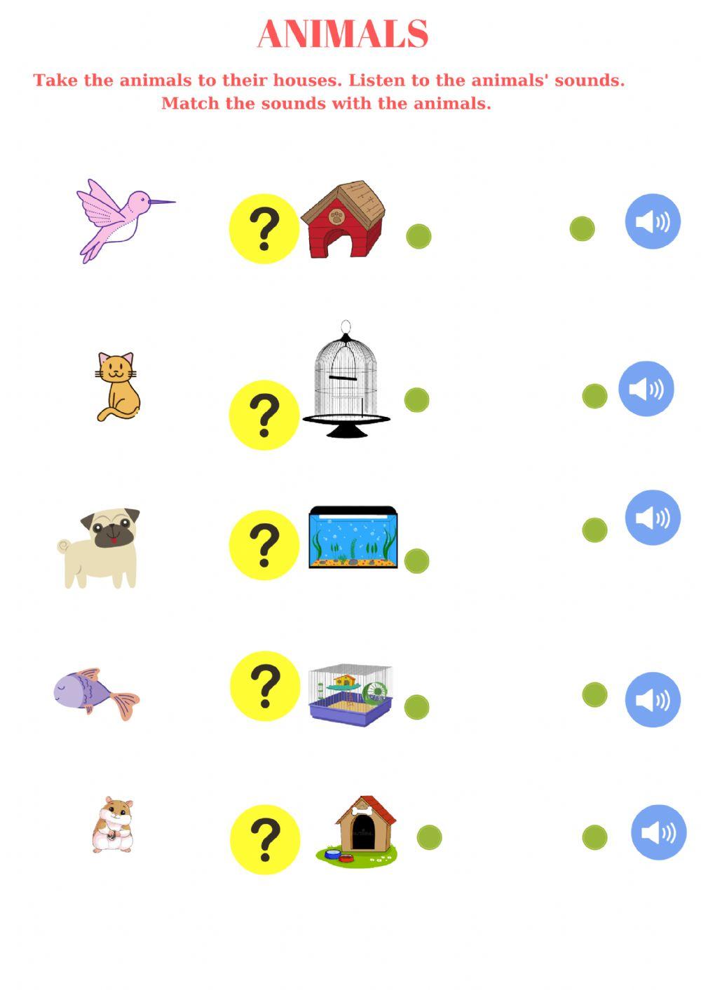 ANIMALS online exercise for A1 | Live Worksheets