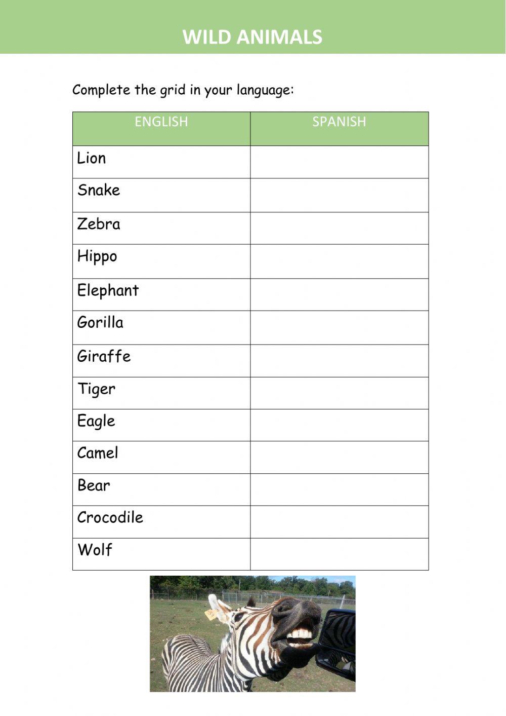 Wild animals translate valencià worksheet | Live Worksheets