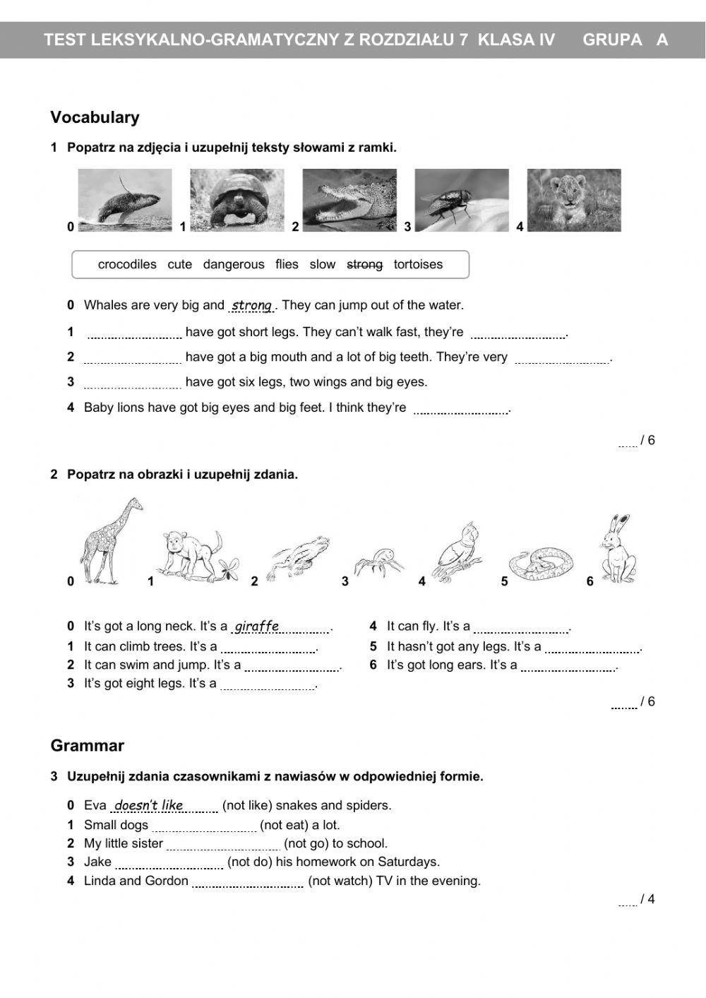 Present Simple and animals 179264 | akedron