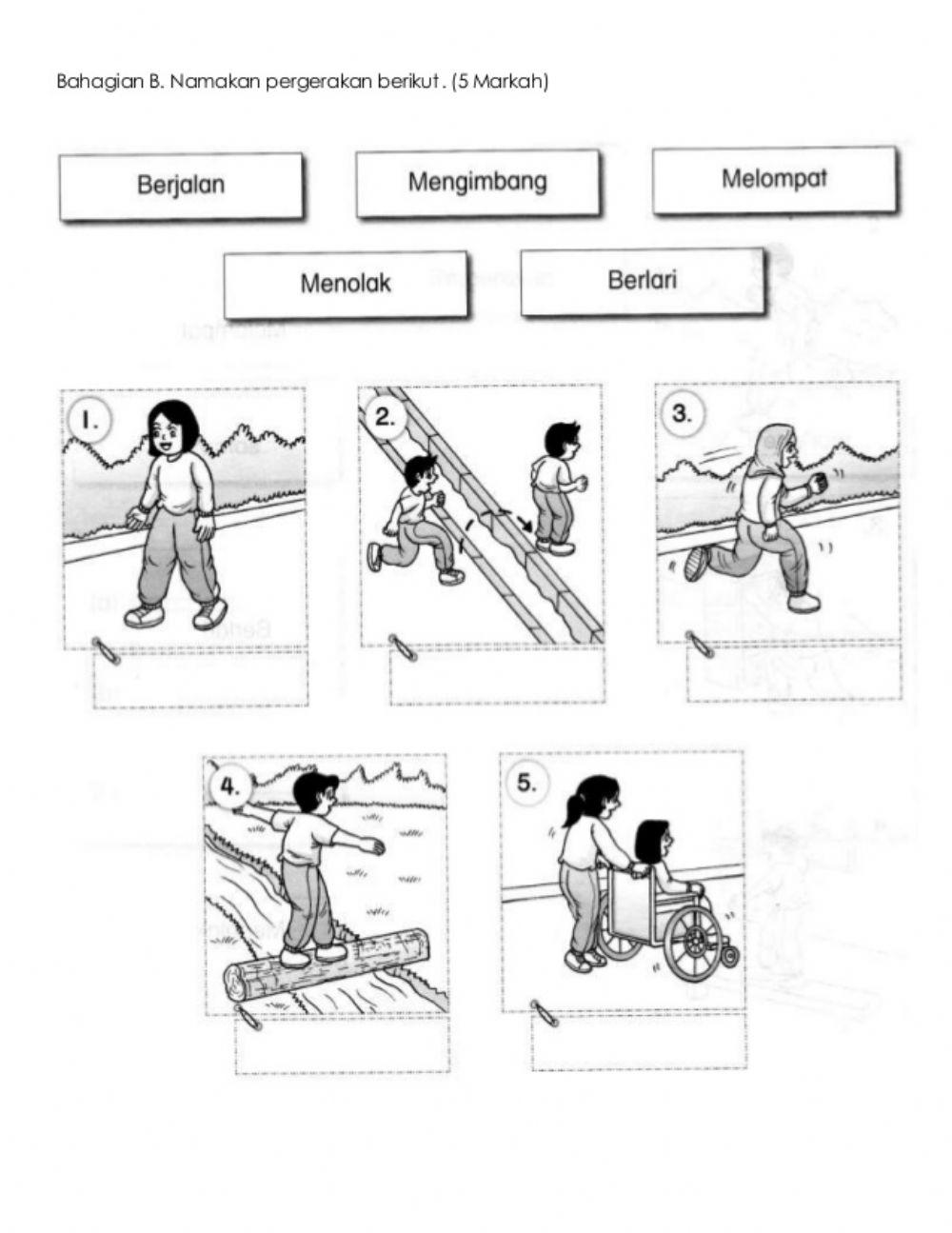 Pjpk worksheet | Live Worksheets