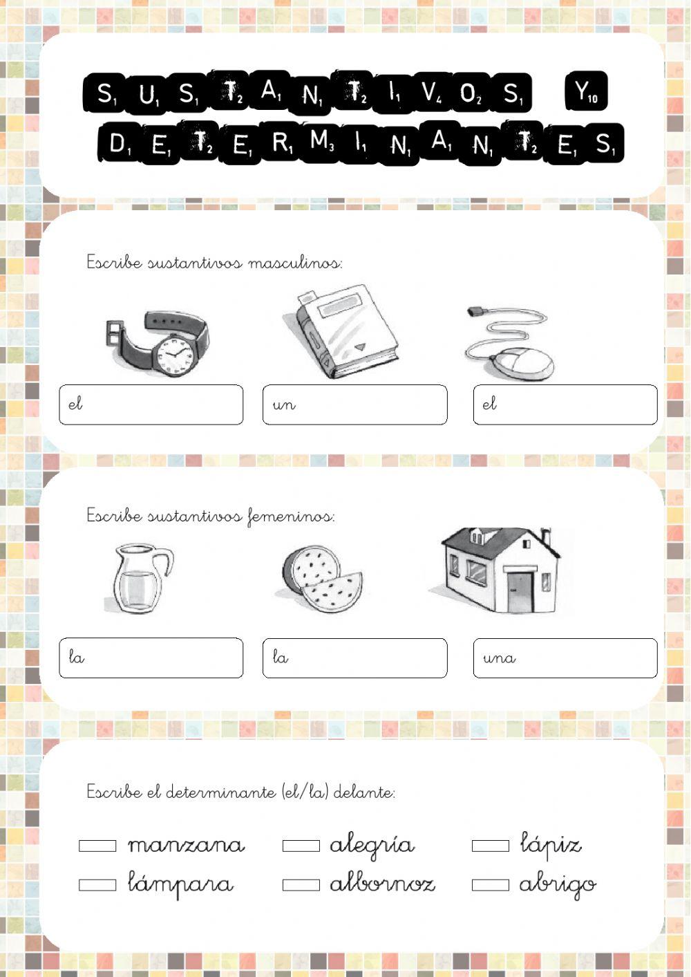 Los sustantivos y los determinantes worksheet | Live Worksheets