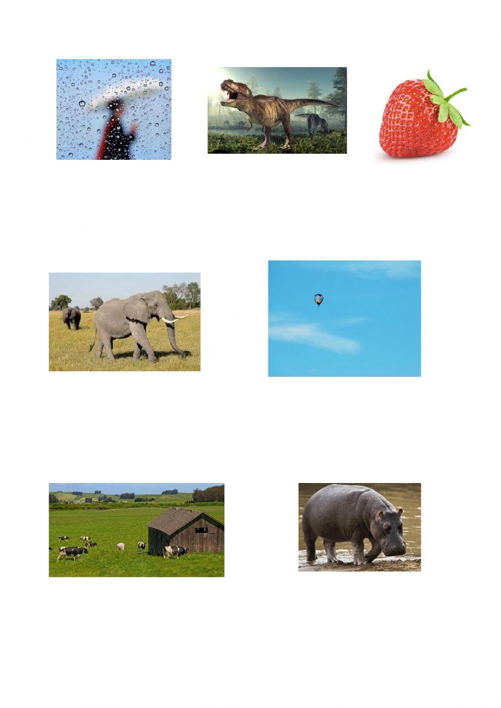 The Crayons worksheet | Live Worksheets