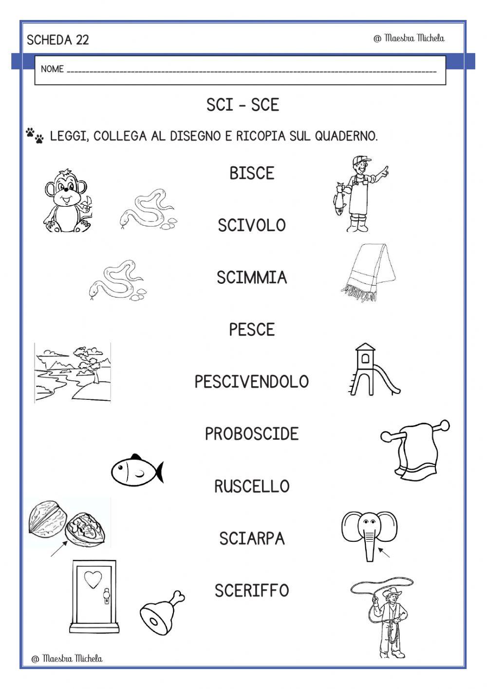 Sci e sce worksheet | Live Worksheets