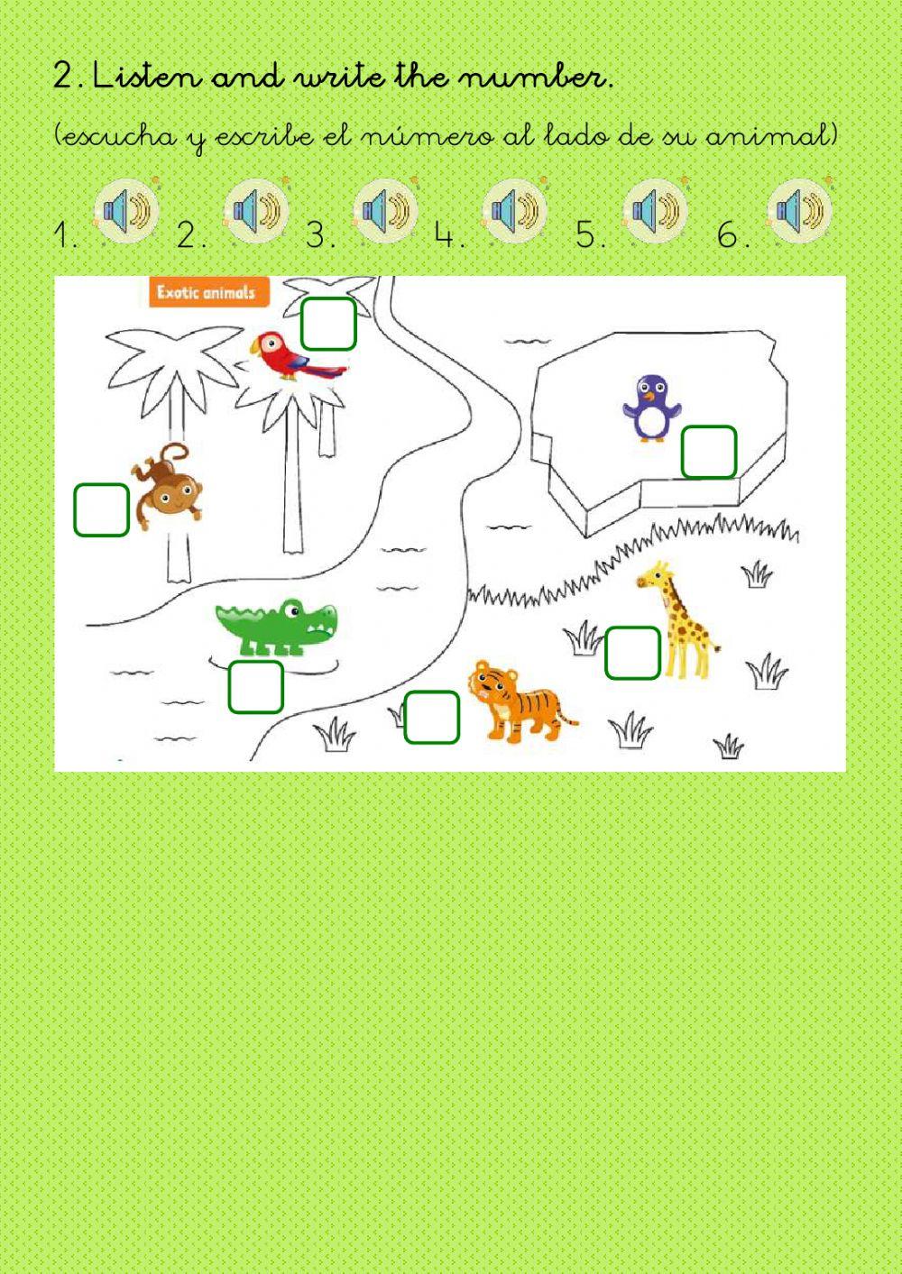 184435 | Exotic animals | mercheferpal | LiveWorksheets