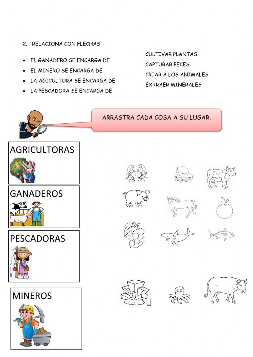 Sector primario online activity for 2º | Live Worksheets