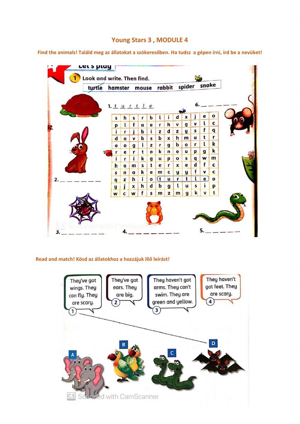 Young Stars 3 Module 4, Pets 5653699 | annamari75 | Live