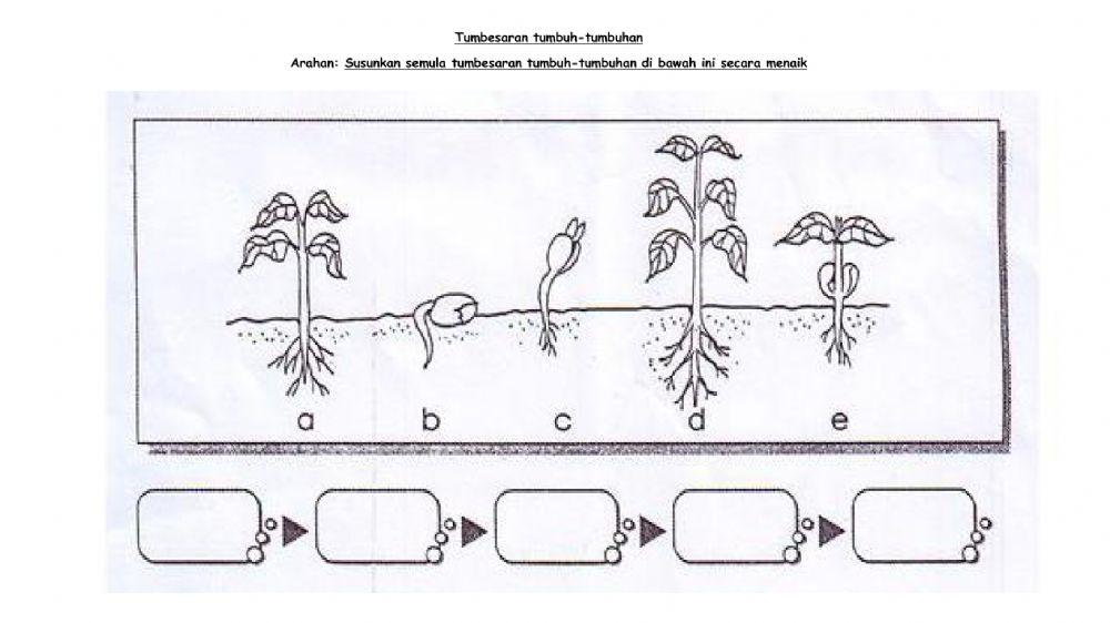 Sains Tahun 2 (… | Free Interactive Worksheets | 187962