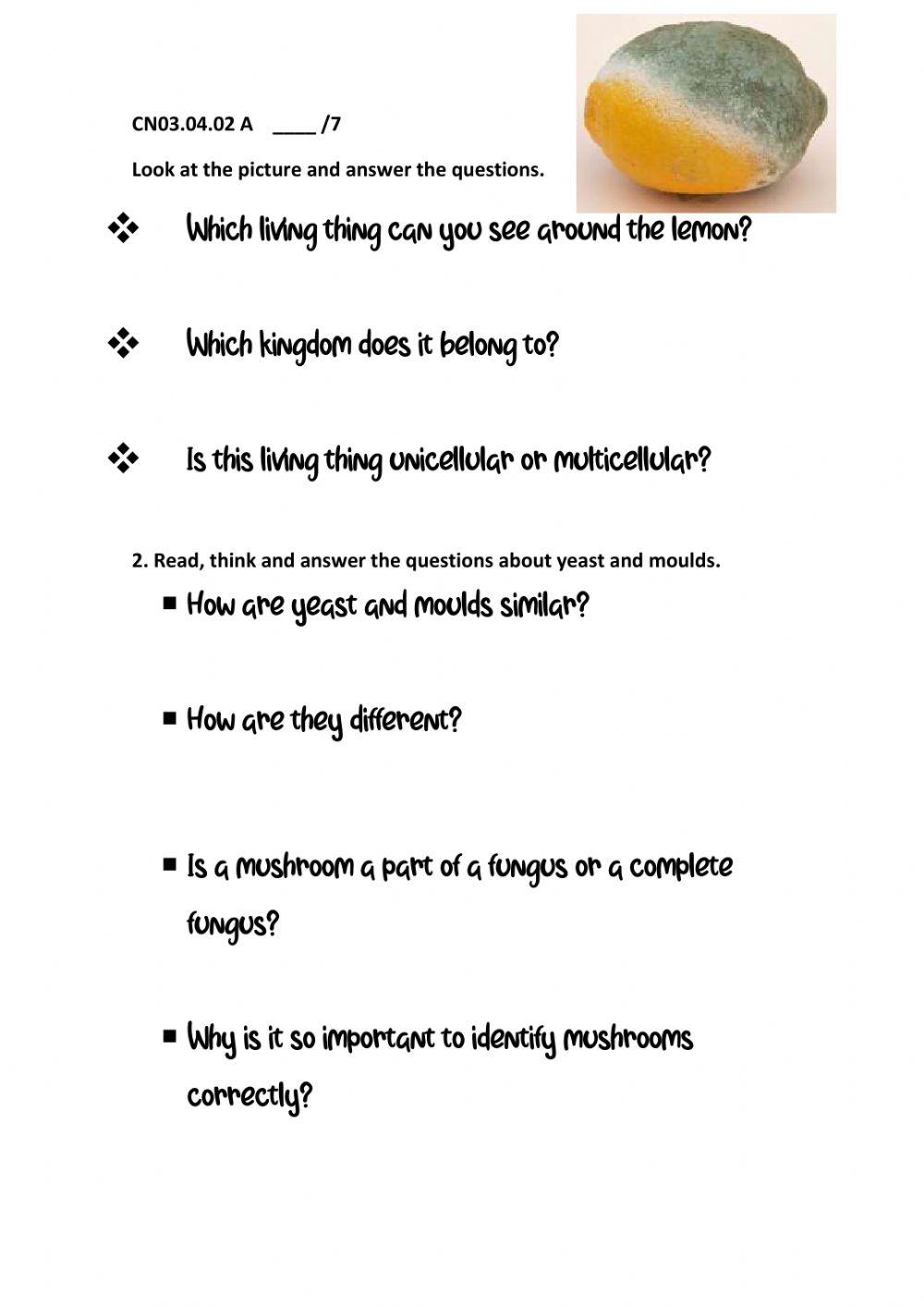 188680 | Natural Sc - Unit 6 - Yeast and Mould | Cointa