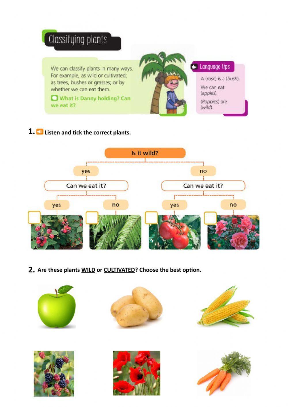 Classifying pla… | Free Interactive Worksheets | 189242