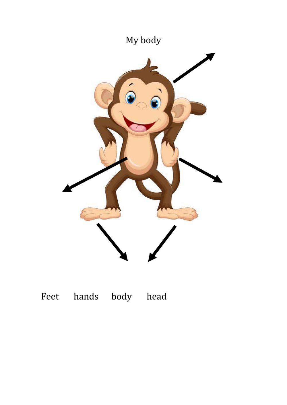 My body online worksheet for Prekids 2 | Live Worksheets