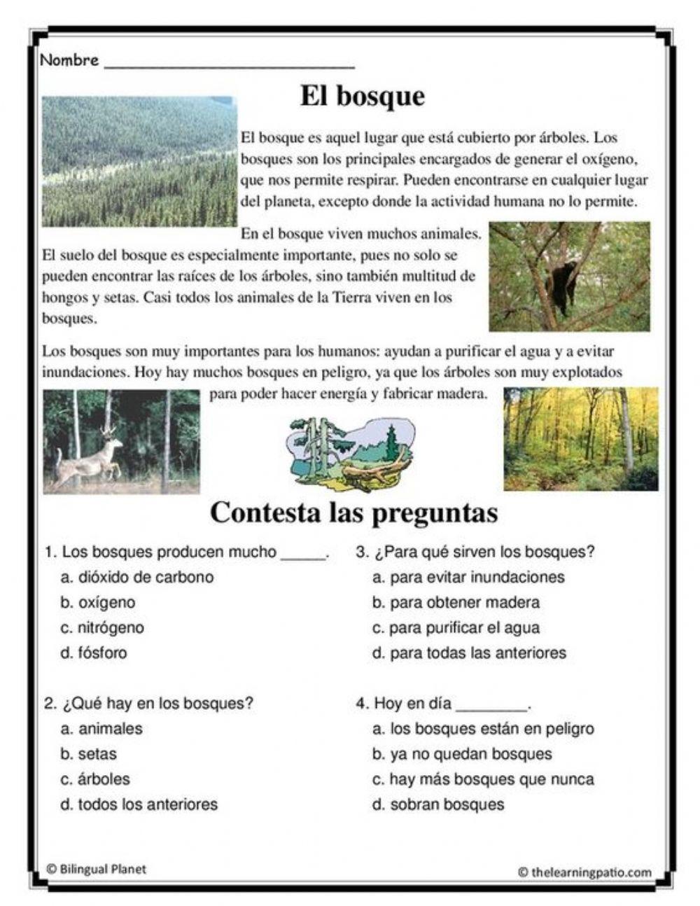 Lectura corta online exercise for | Live Worksheets