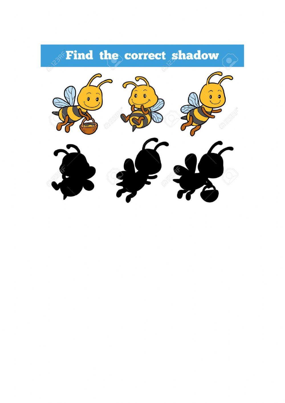 Shadows online exercise for | Live Worksheets