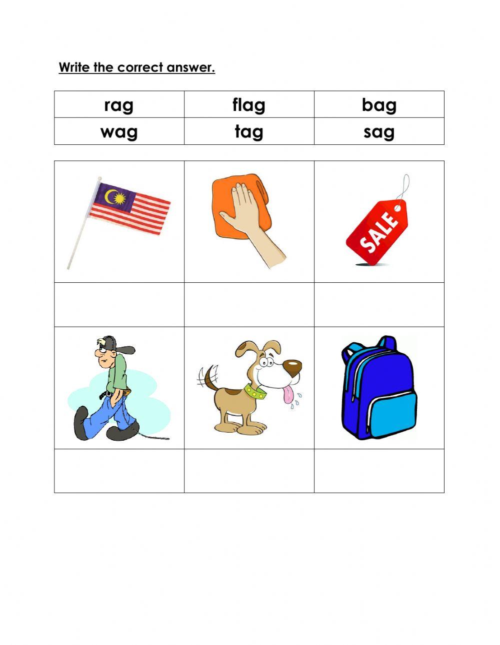 Word families (-ag & -ash) worksheet | Live Worksheets