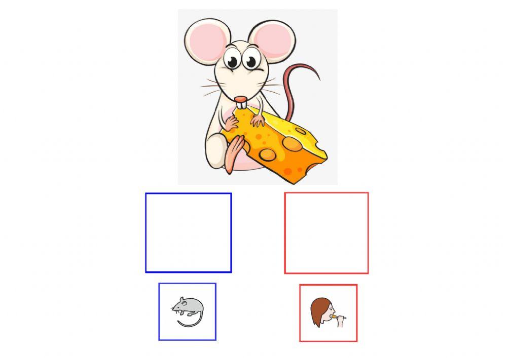 Raton come | Free Interactive Worksheets | 198459