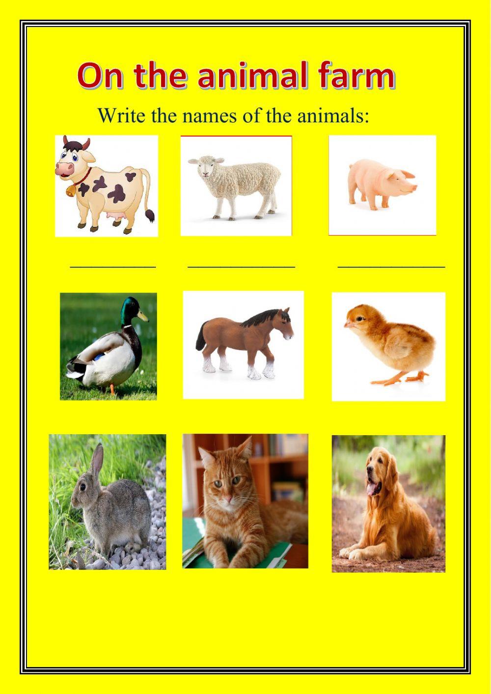 On the animal form worksheet | Live Worksheets
